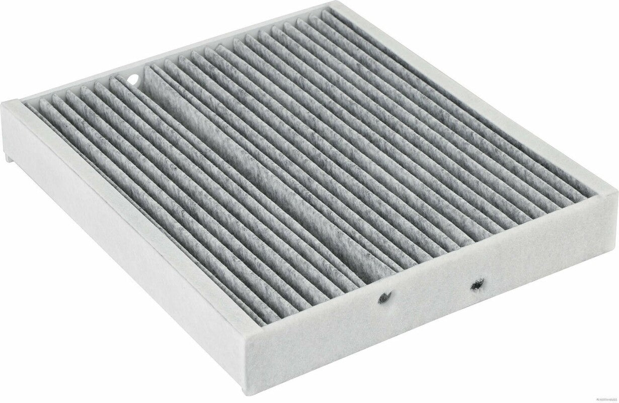 Filtro Al Carbone Attivo Originale Mercedes-Benz Codice Categorico: A2 ...